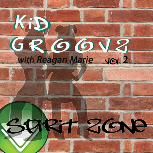 Spirit Zone Single Download